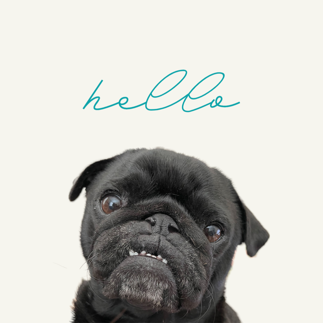 Introducing reTHINK HOA Software for HOA Self-Management